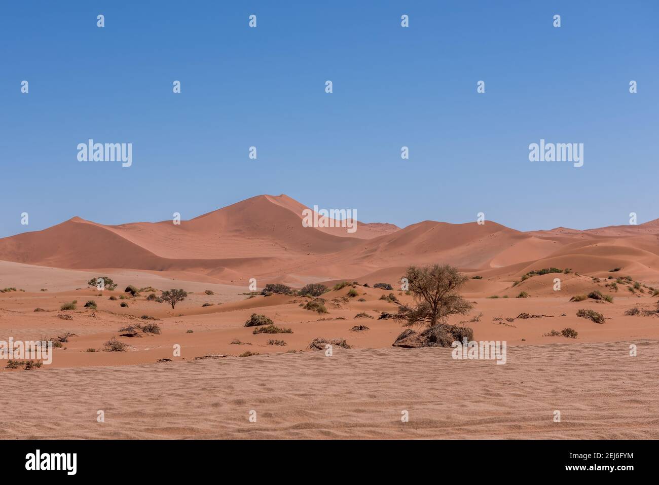 Desert Landscape - Namibia Stock Photo - Alamy