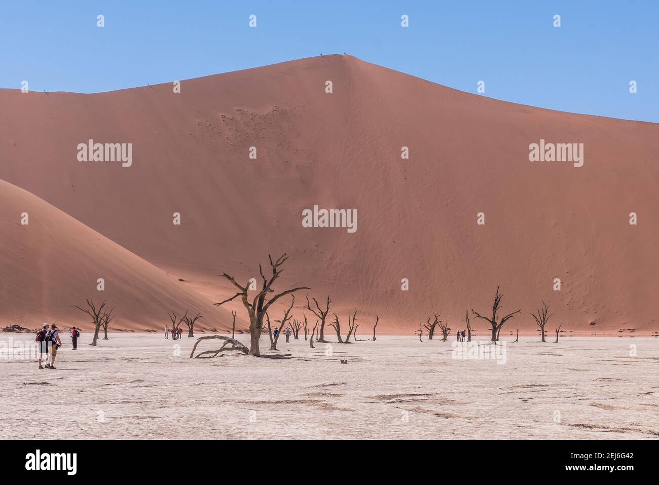 Sosusvlei salt pan, Namibia Stock Photo - Alamy