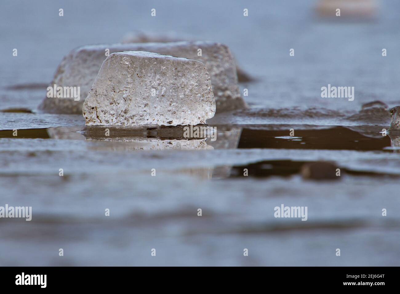 Side view of ice block laying on ice surface, selective focus Stock ...