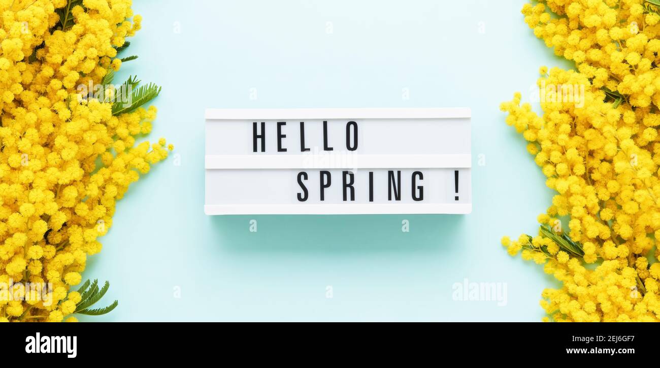 HELLO SPRING written in a light box and Mimosa flowers border on a ...