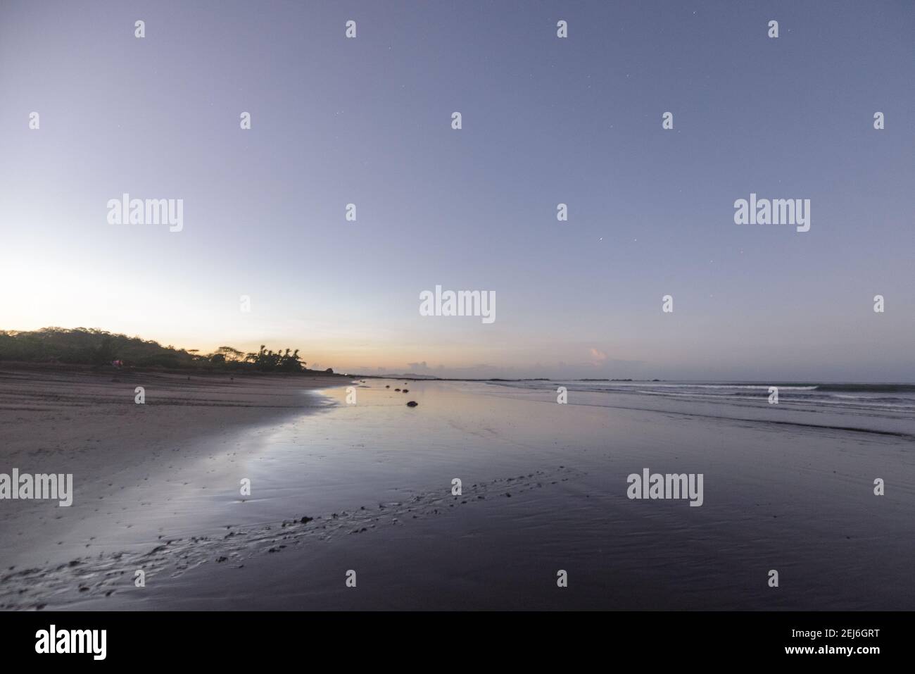 Turtles nesting during sunrise at Ostional beach in Costa Rica Stock ...