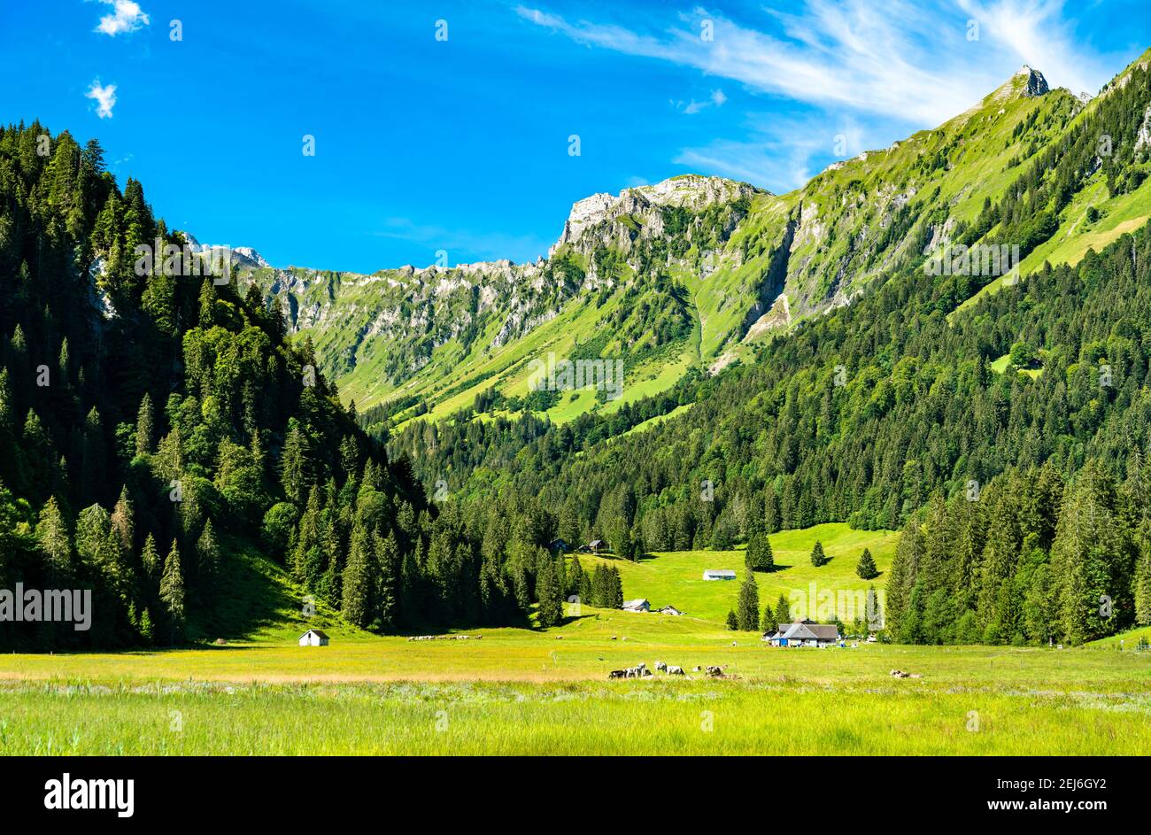Landscape of the Obersee Valley in Switzerland Stock Photo - Alamy