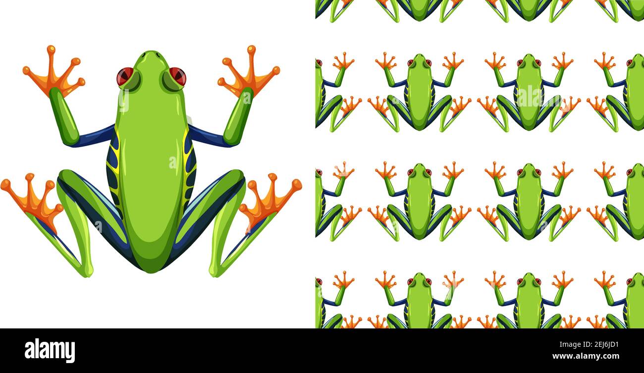 Red-eyed tree frog isolated on white background and seamless ...