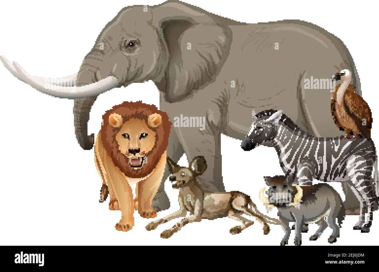 Group of wild african animal on white background illustration Stock ...