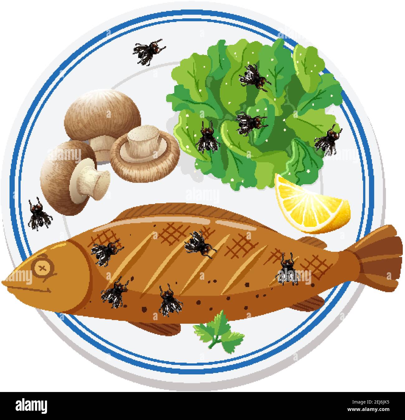 Top view of food with many flies flying around illustration Stock ...