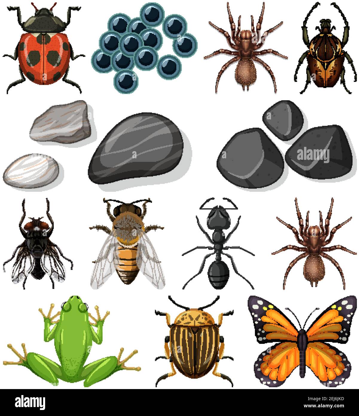 Different types of insect with nature elements illustration Stock ...