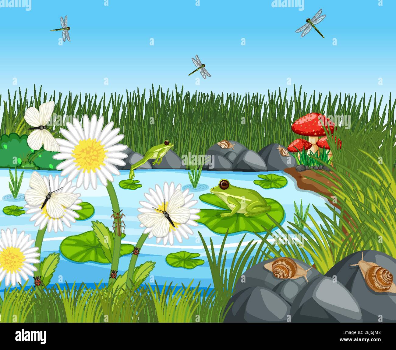 Many green frogs and dragonfly in the pond scene illustration Stock ...