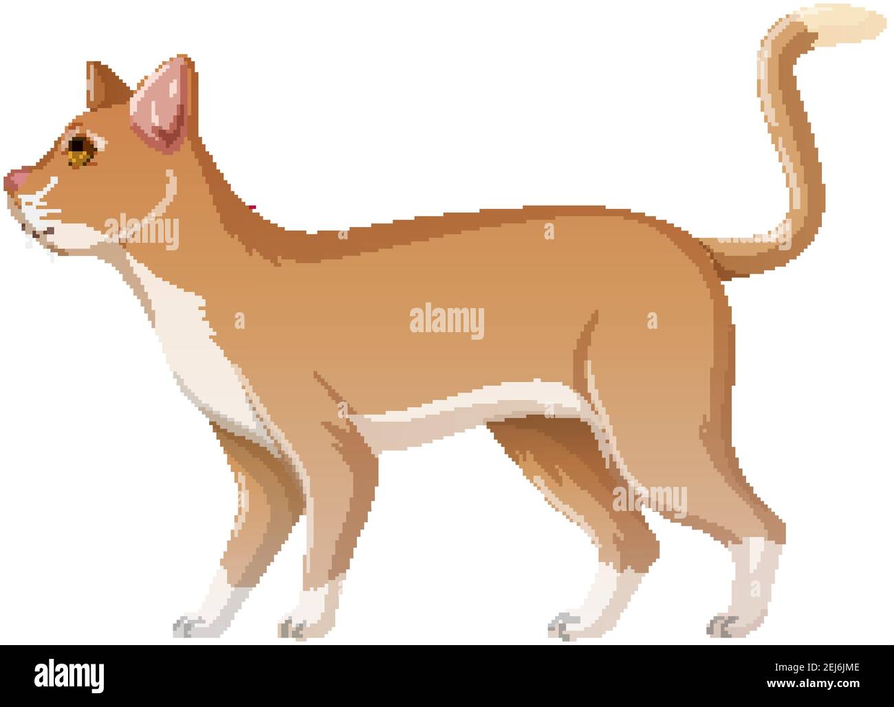Cute cat isolated cartoon character illustration Stock Vector Image ...