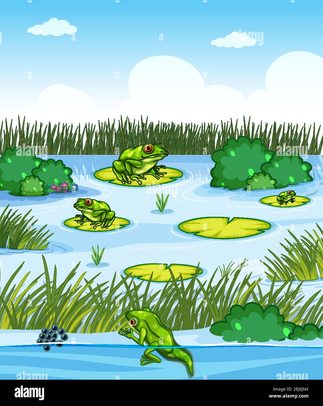 Pond scene with many frogs and plants element illustration Stock Vector ...