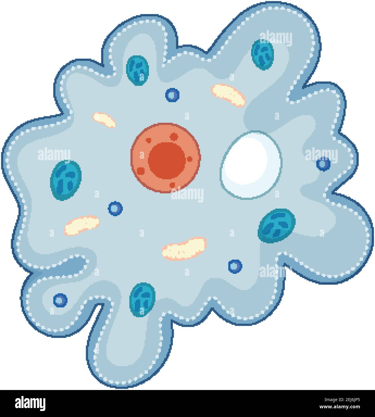 Amoeba Cell Color