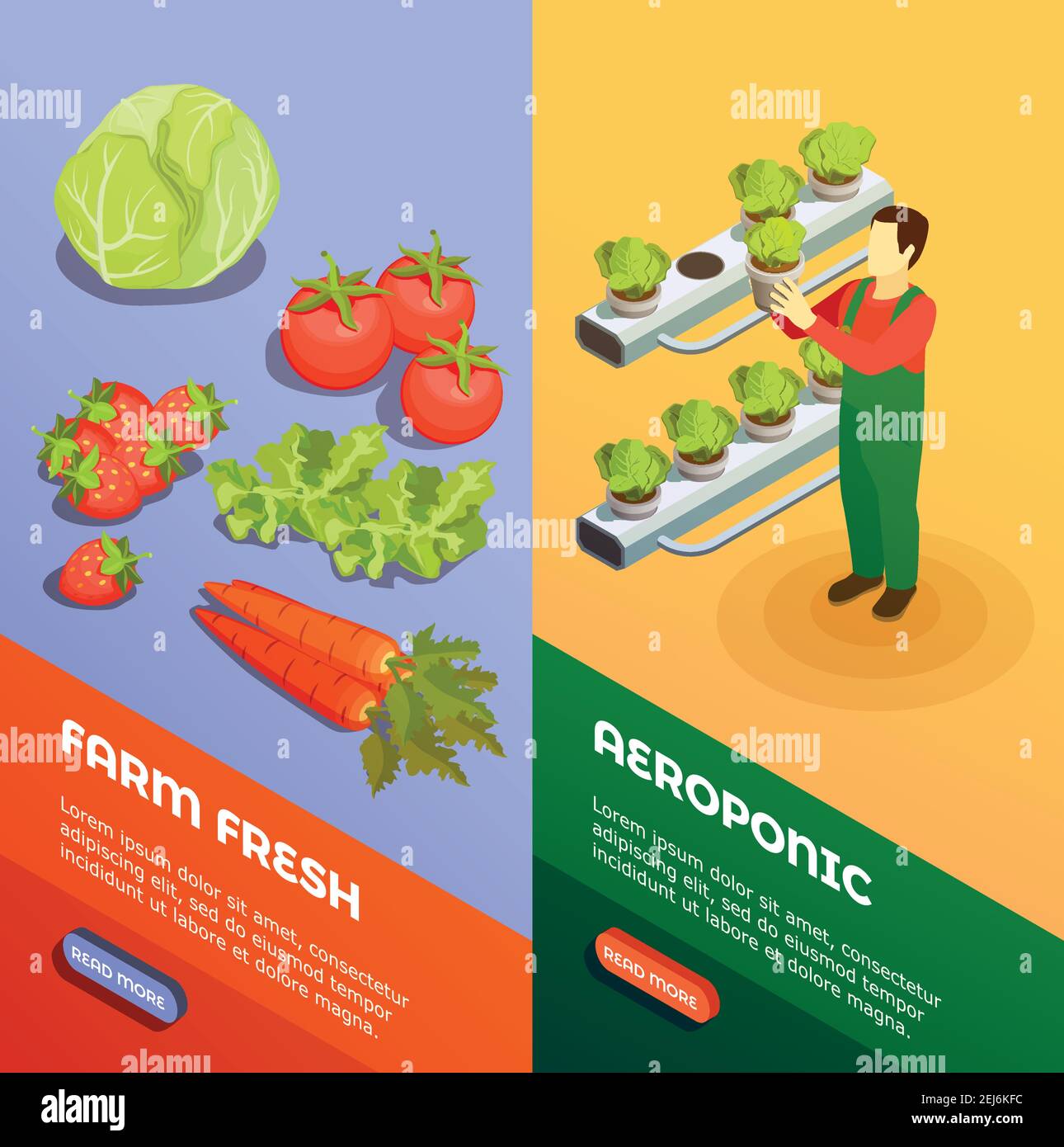 Hydroponic and aeroponic vertical banners with farmer growing fresh ...