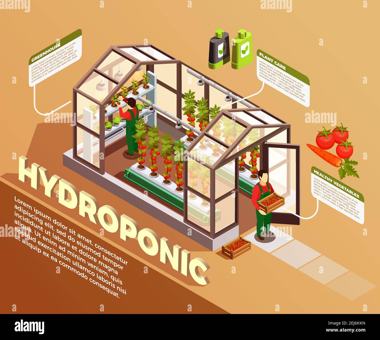 Hydroponic isometric composition with greenhouse image and description ...