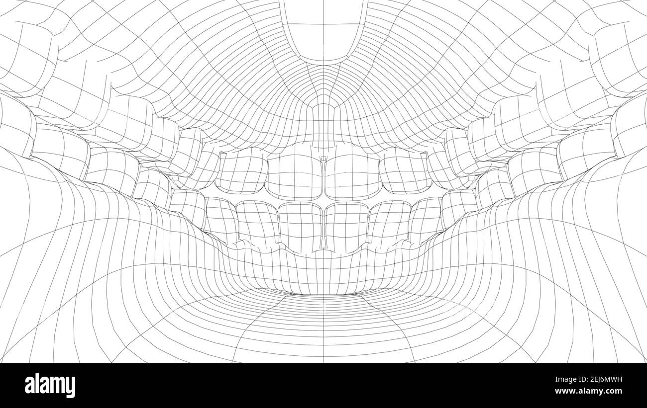 Wire-frame 3D teeth close up. Inside mouth Stock Vector Image & Art - Alamy