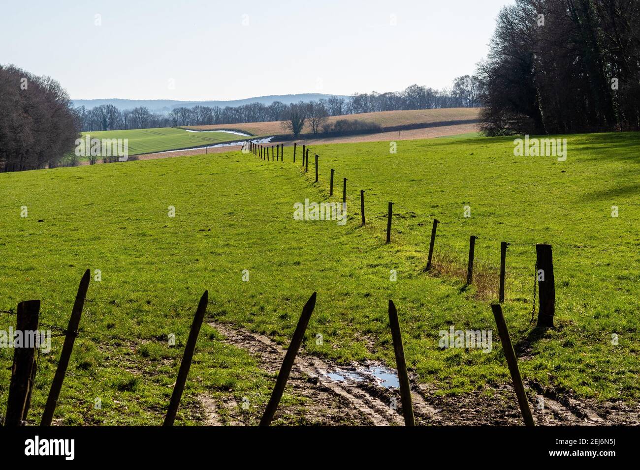Nijmegen, Netherlands. 21st Feb, 2021. General view of the green ...