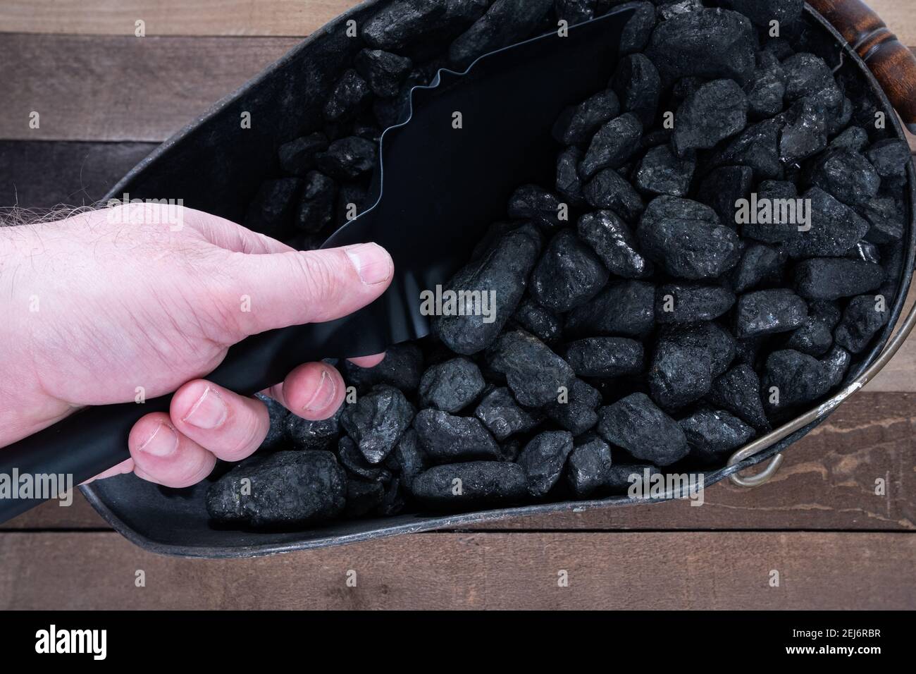 A hand with a shovel digging out anthracite nut coal from a coal ...