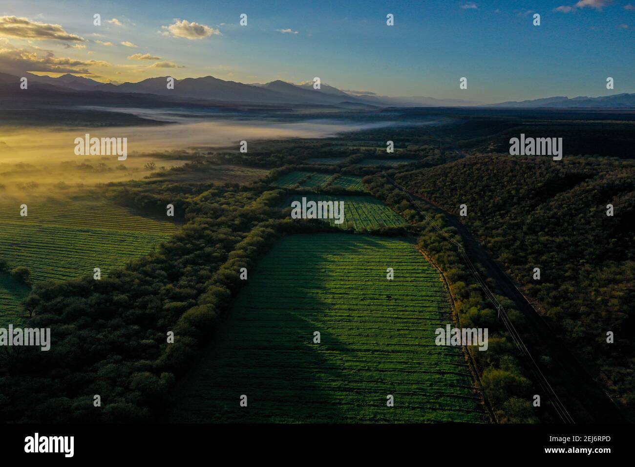 Aerial view of Sahuaripa, Sonora, Mexico. Landscape and mist at sunrise ...