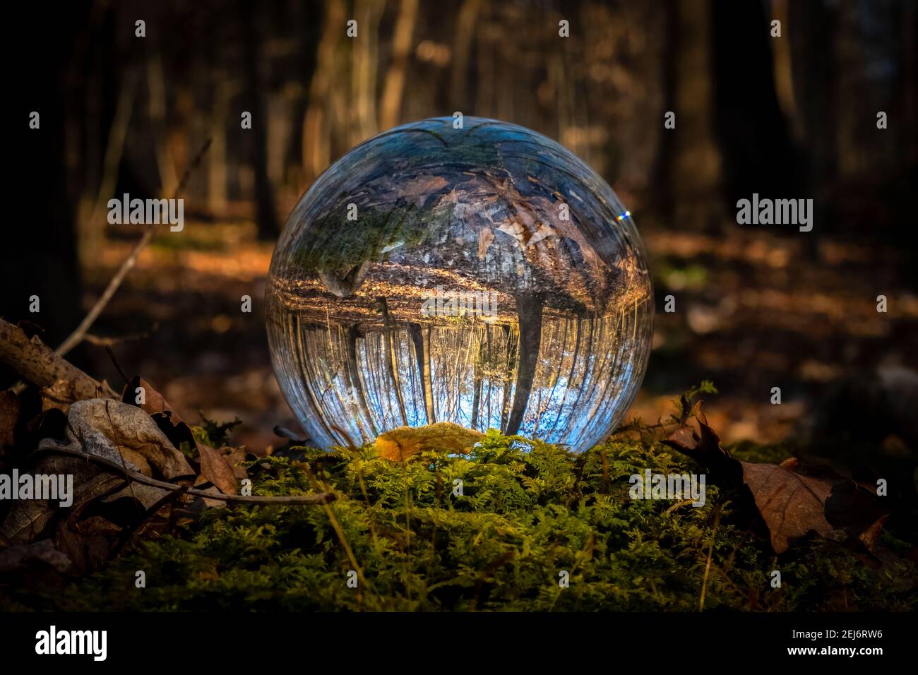 Foresee hi-res stock photography and images - Alamy