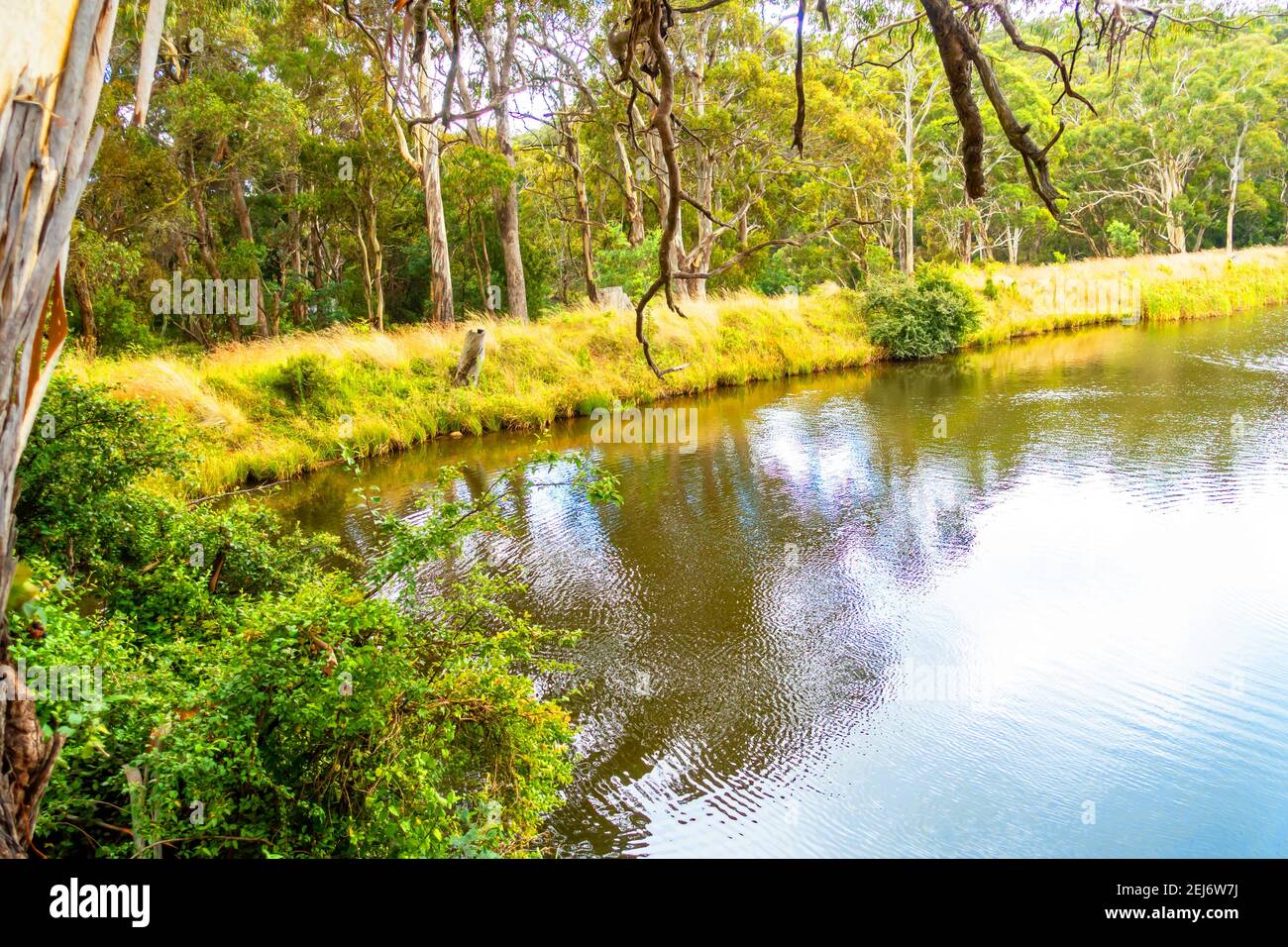 Sheba dam hi-res stock photography and images - Alamy