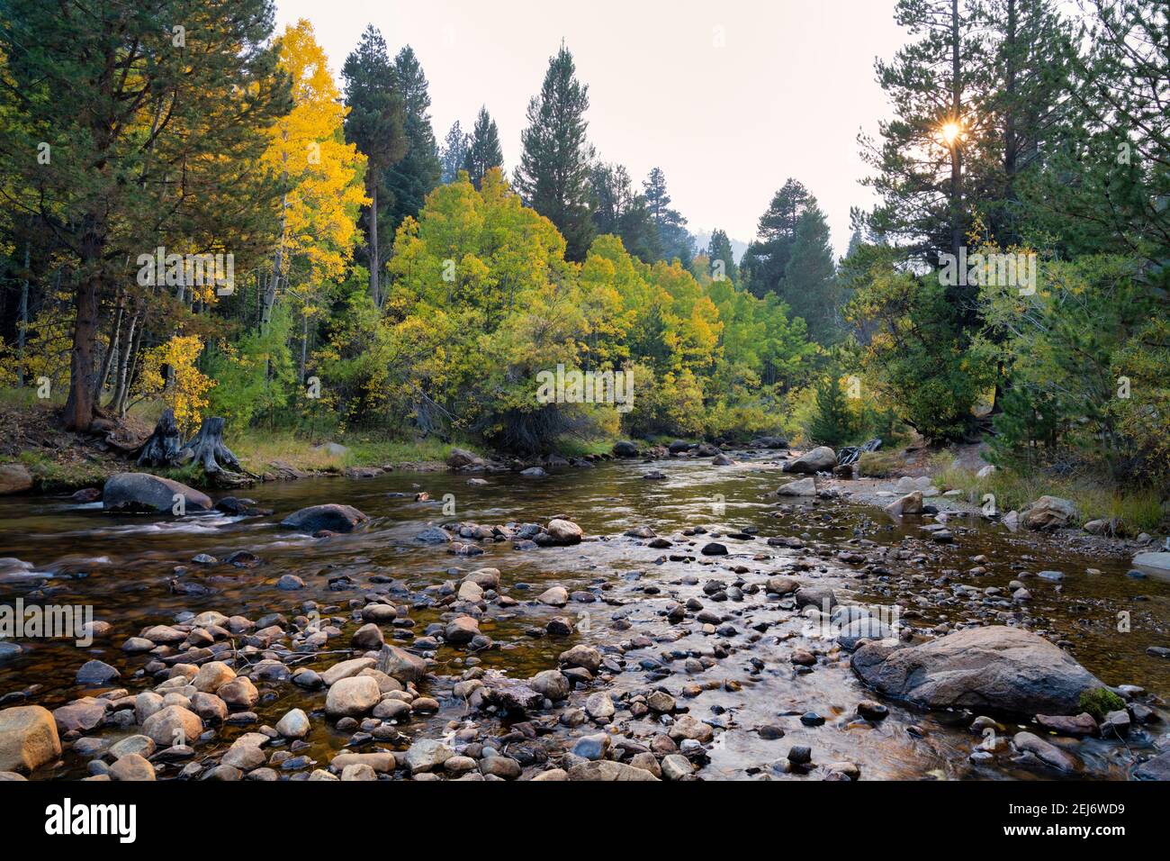 Mountain with autumn colors hi-res stock photography and images - Alamy