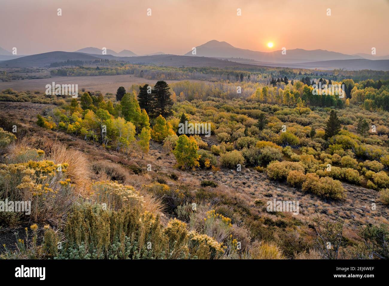 Sunset and fall colors hi-res stock photography and images - Alamy