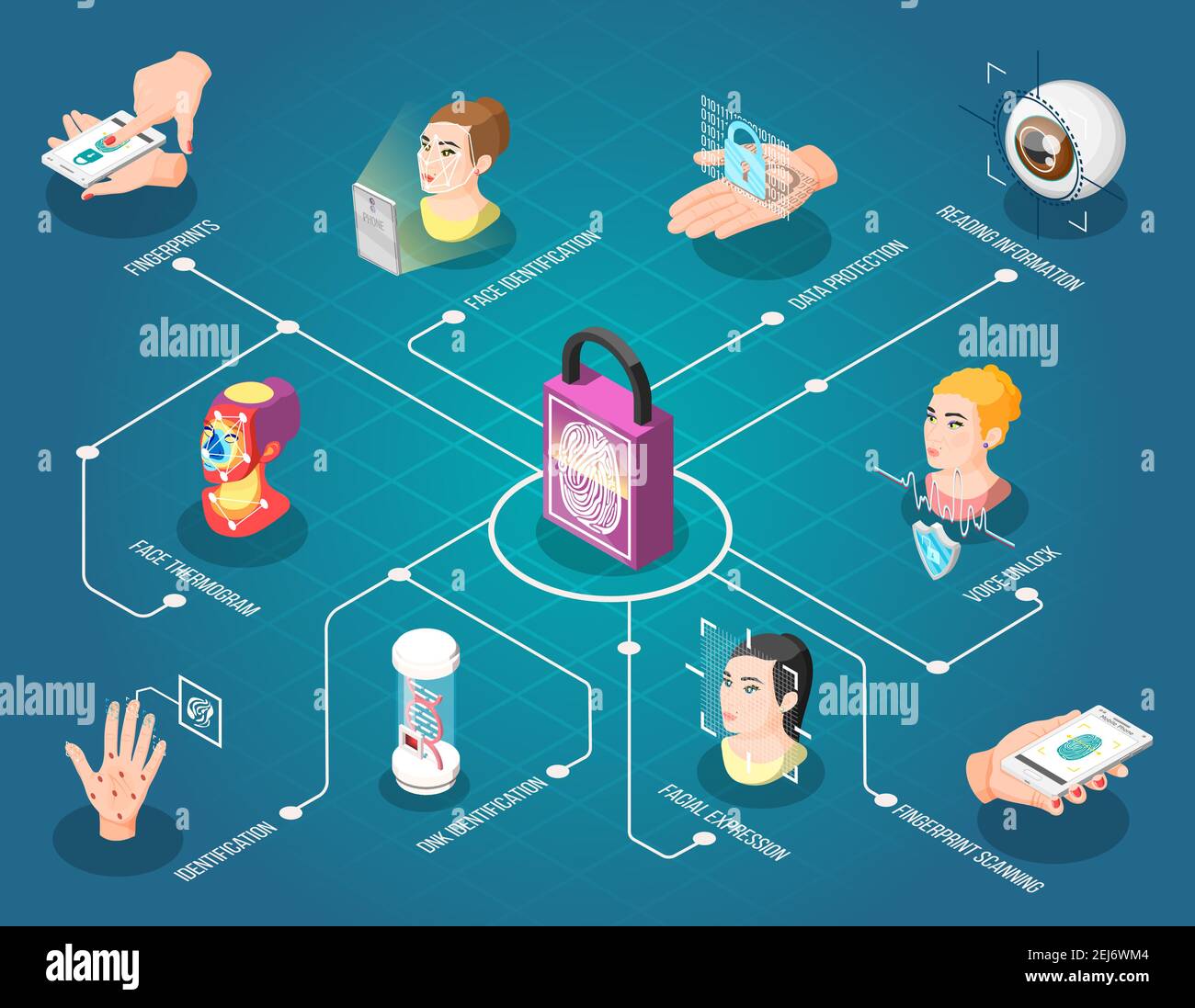 Biometric ID isometric flowchart with face thermogram fingerprint and ...