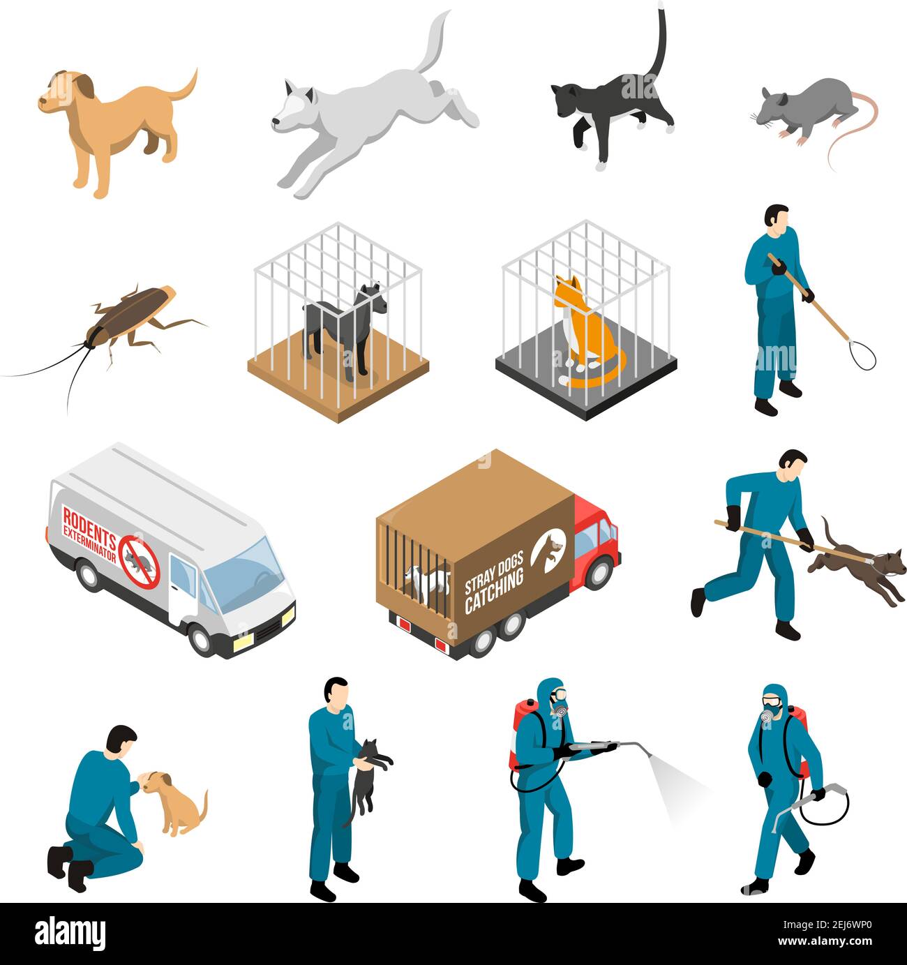 Animal control service, catching of stray dogs and cats, fighting with ...