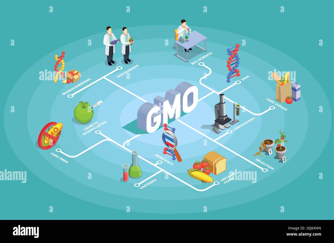 Genetically modified organisms isometric flowchart on turquoise background with dna, research ...