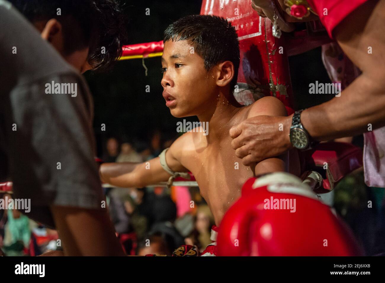 An exhausted young boy Muay Thai boxer during fight is being treated by ...