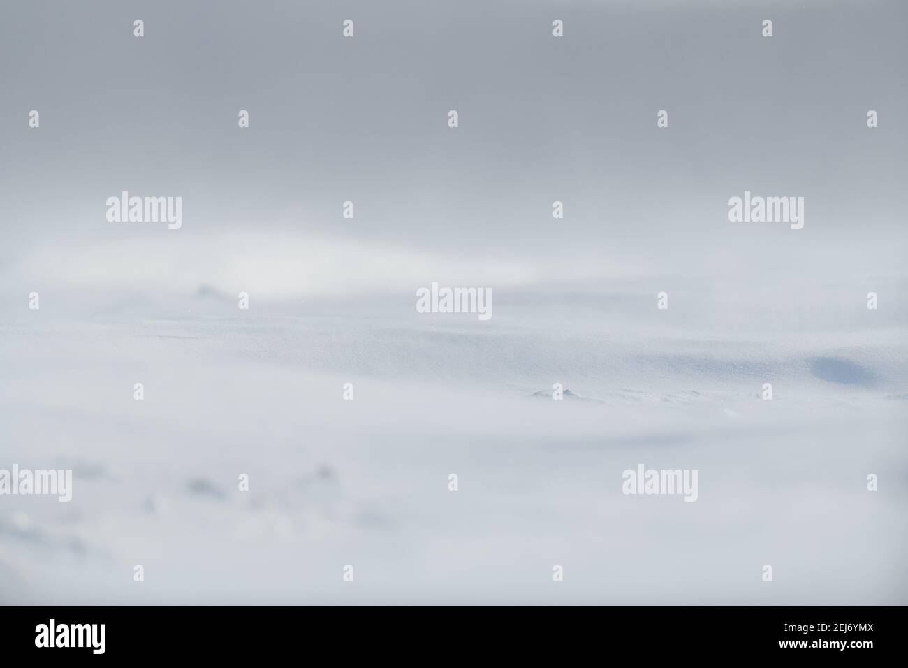Beautiful winter background with snowy field. Natural winter texture ...
