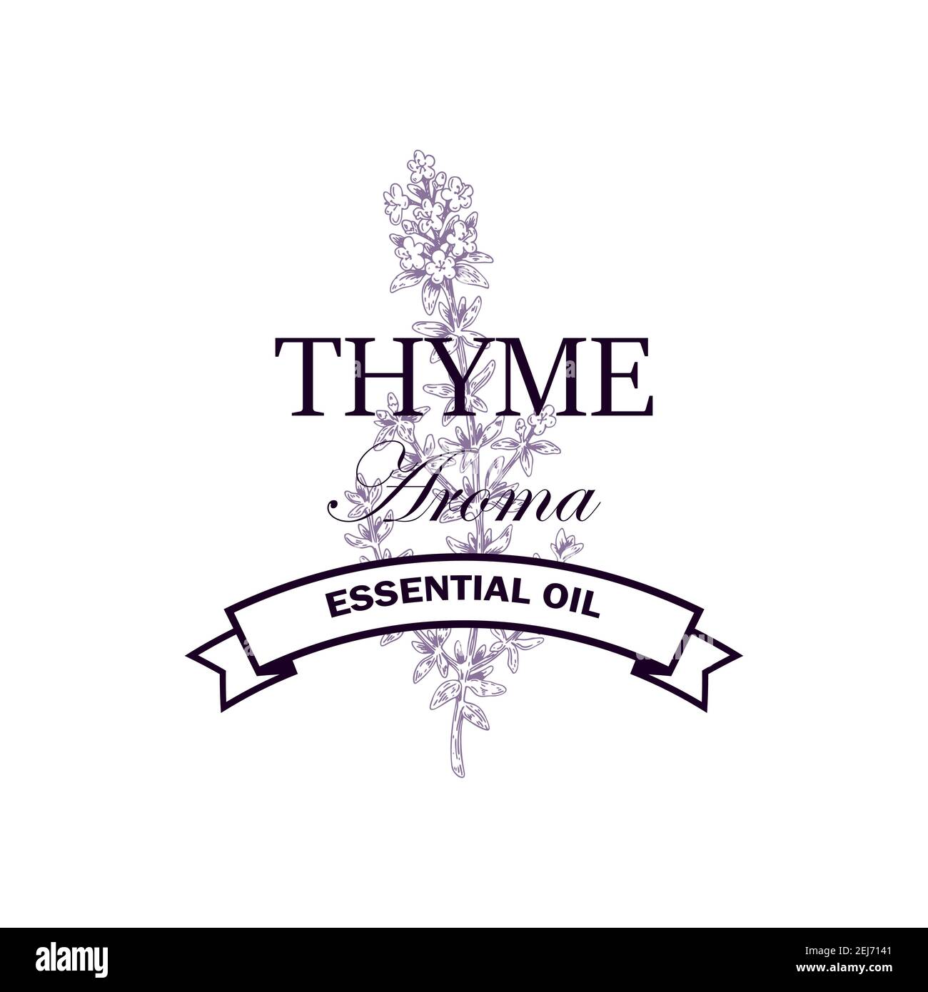 Thyme essential oil logo with hand drawn elements. Vector illustration ...