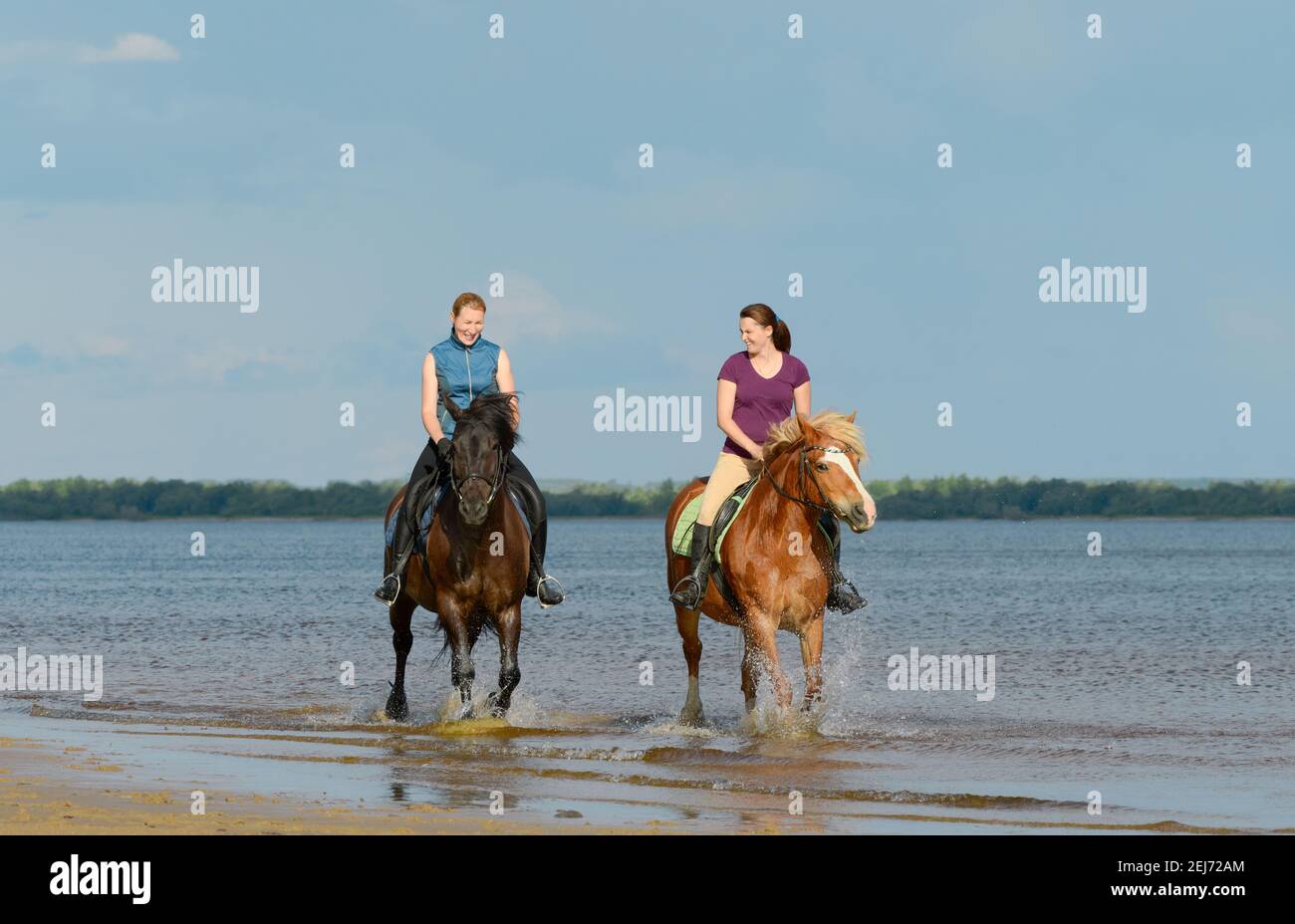 Two woman are riding on horseback on water. Two laughing female rider ...