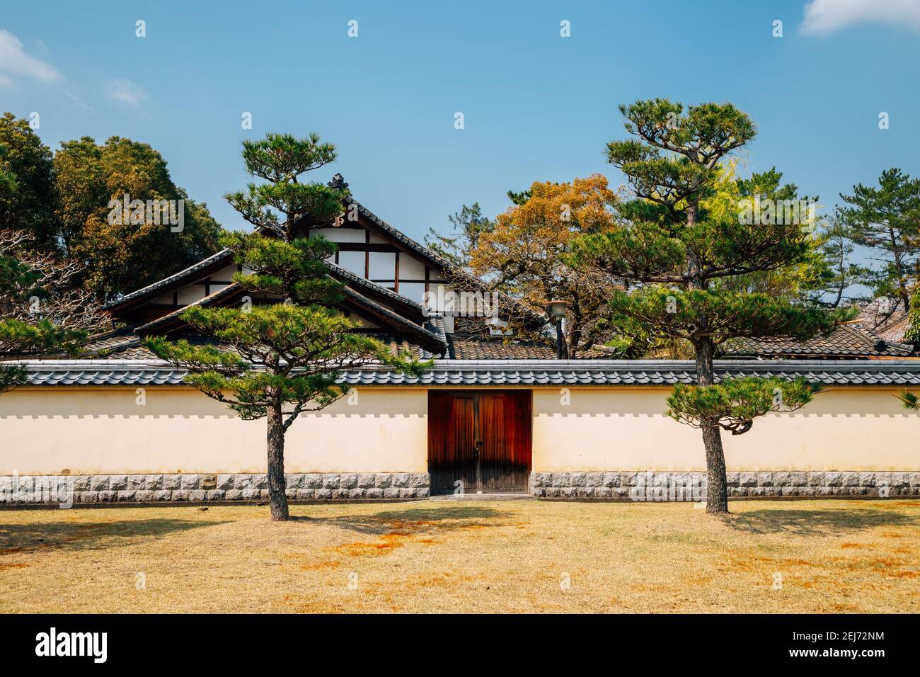 Yakushi do hall hi-res stock photography and images - Alamy
