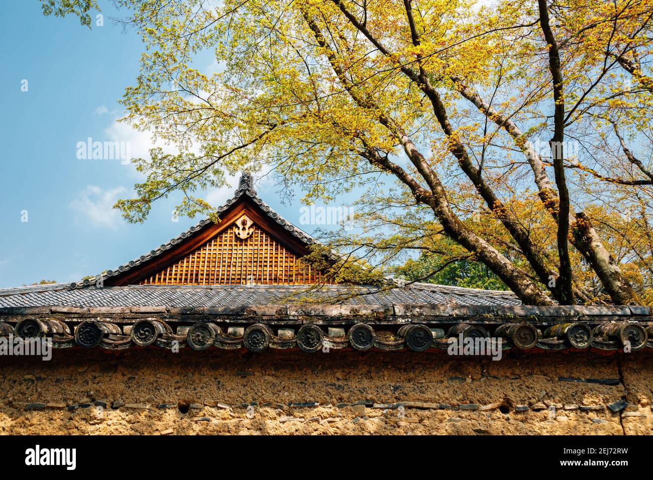 Toshodaiji temple and green tree in Nara, Japan Stock Photo - Alamy