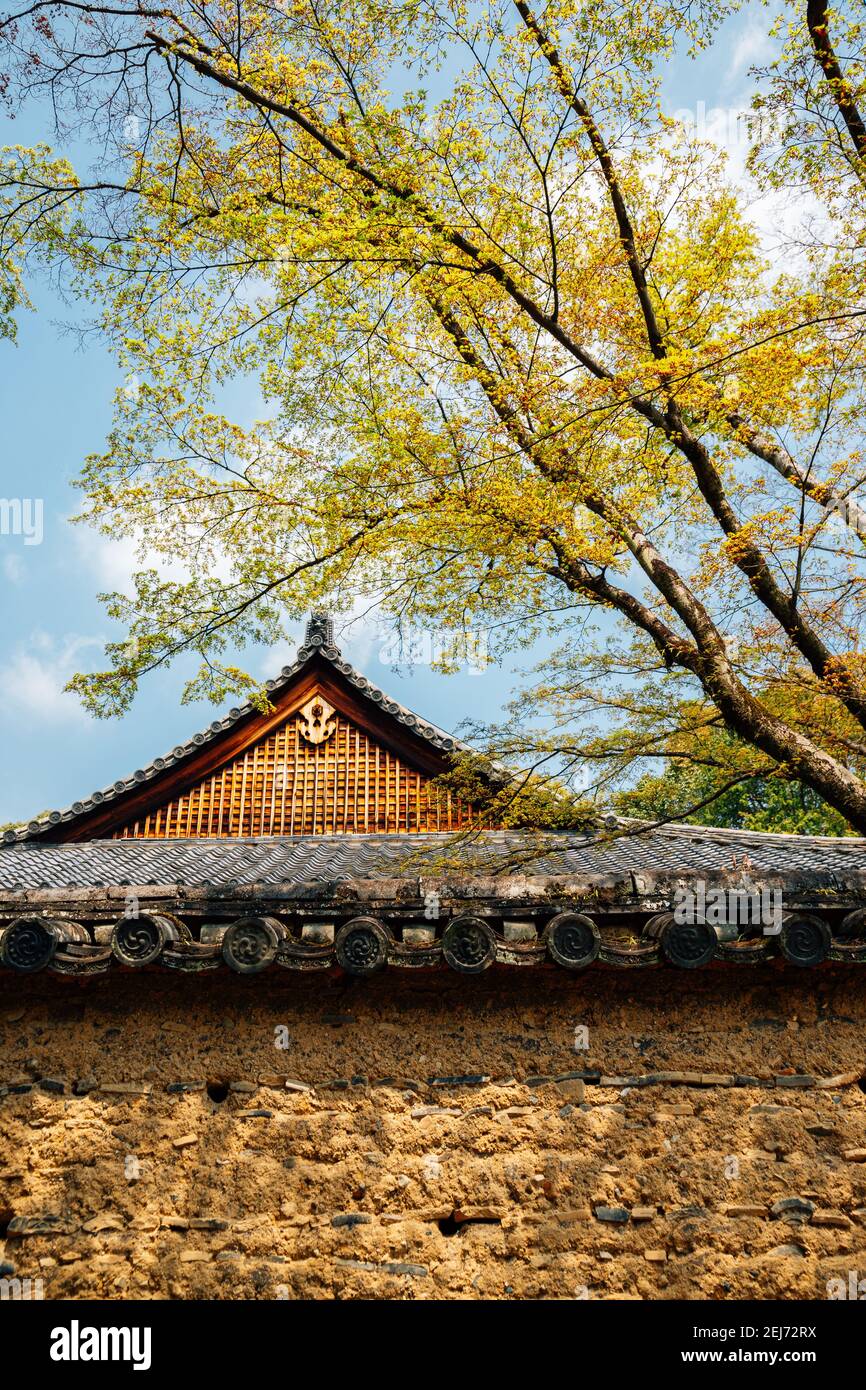 Toshodaiji temple and green tree in Nara, Japan Stock Photo - Alamy