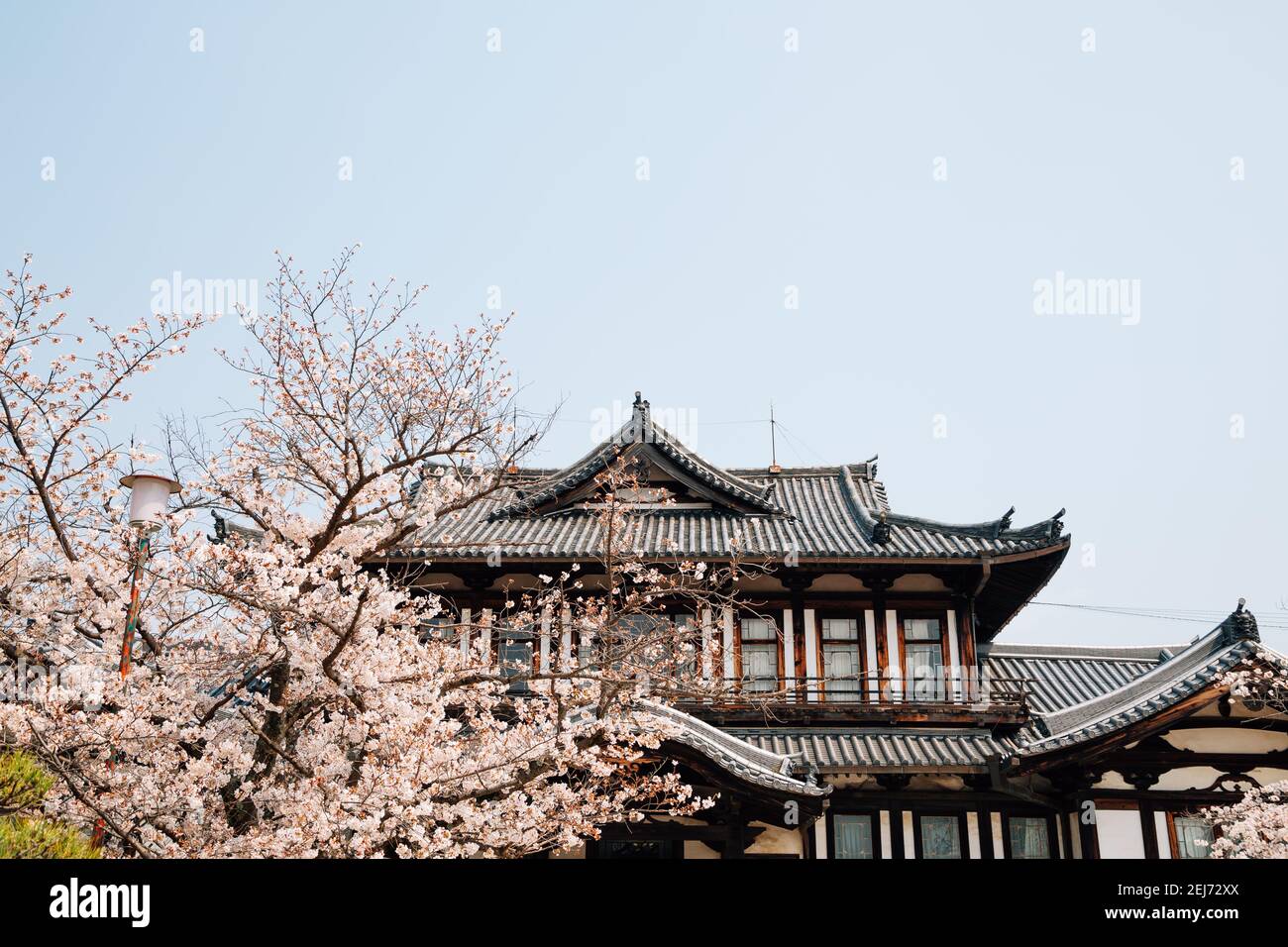 Koriyama castle park with cherry blossoms in Nara, japan Stock Photo ...