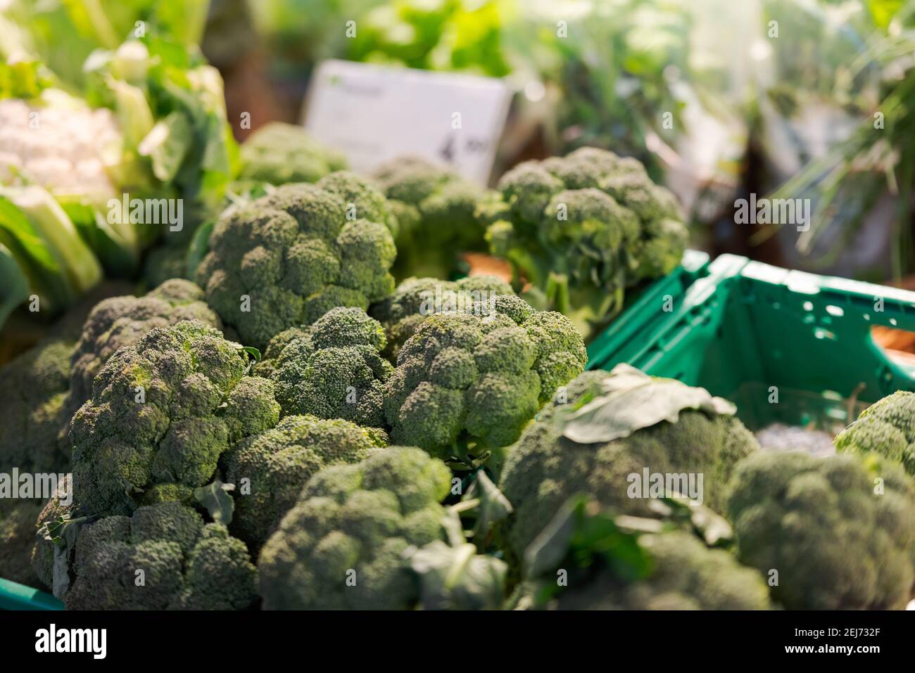 Unpacked loose broccoli in green plastic box on display in organic ...