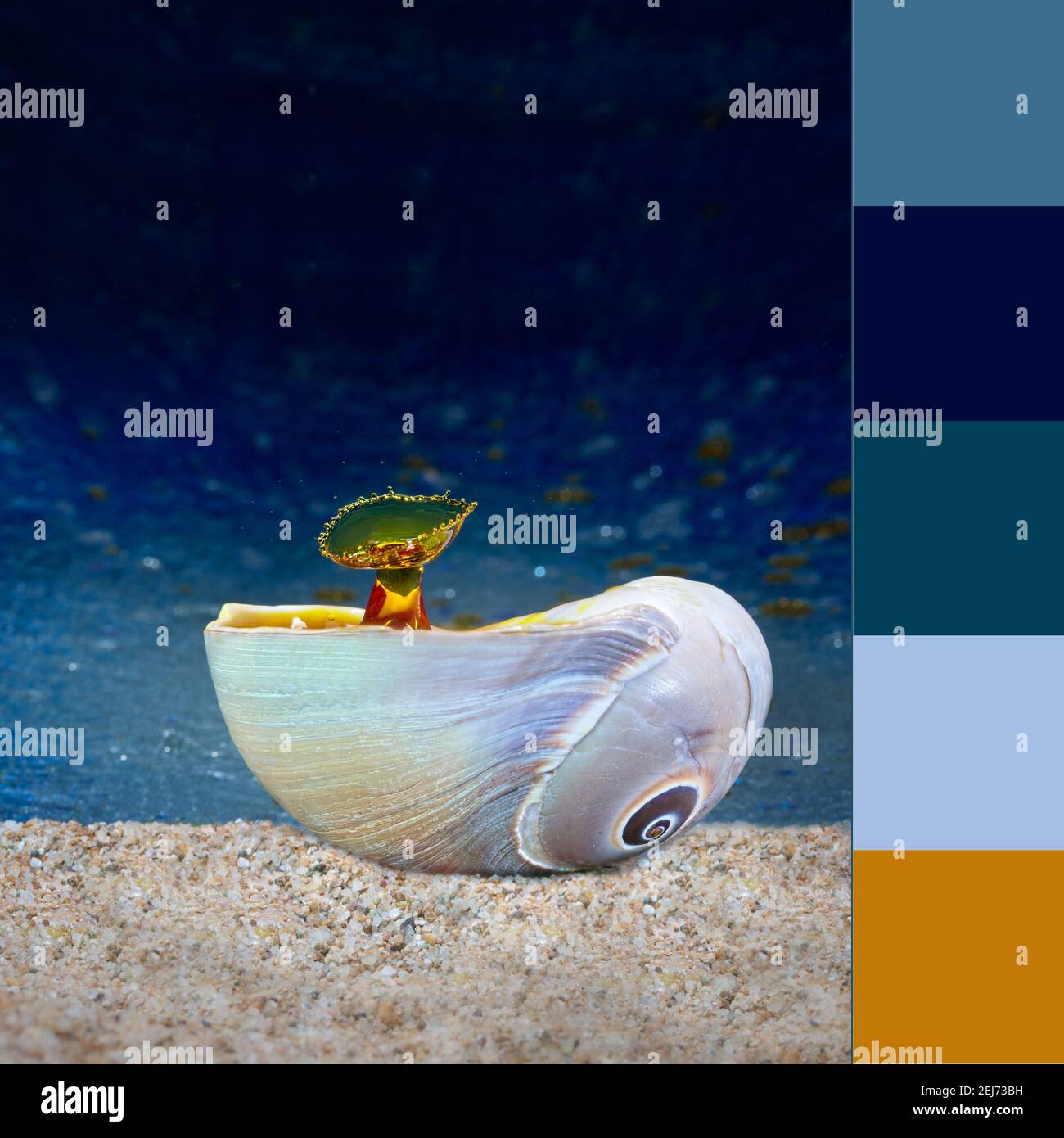 Water drops colliding to form an umbrella shape in a shell on sand with ...