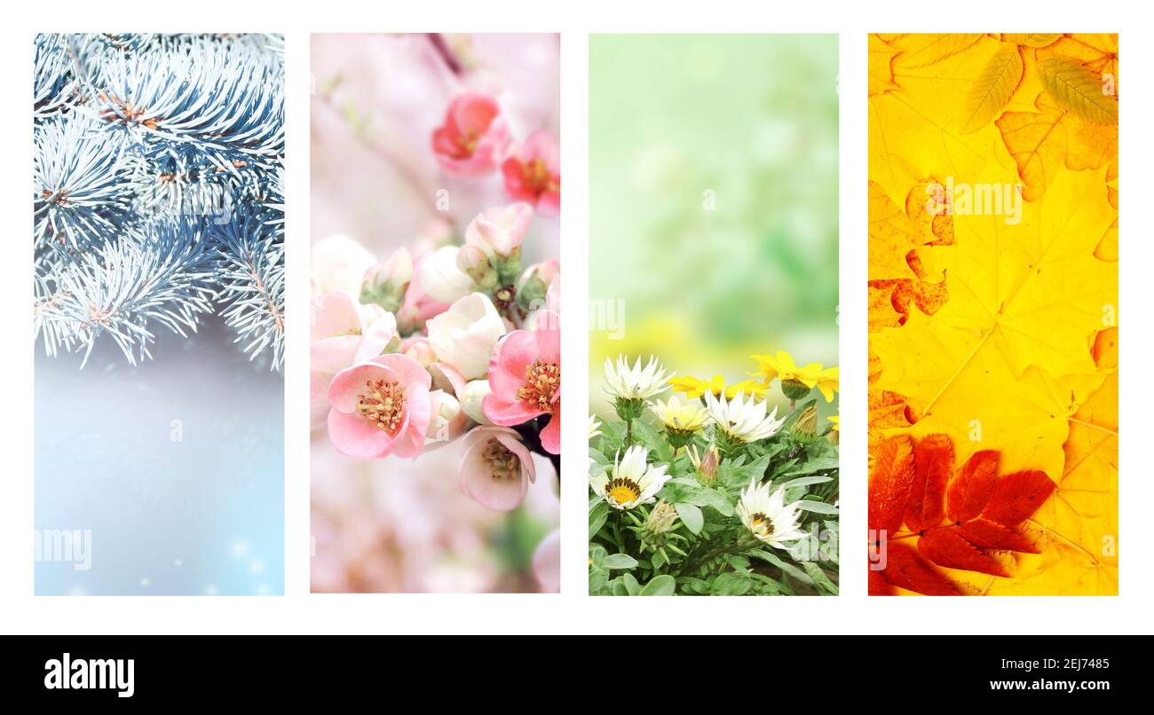 Four seasons of year. Set of vertical nature banners with winter ...