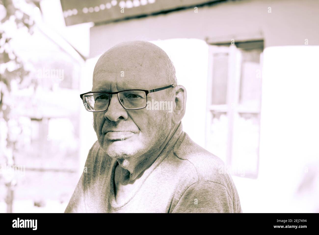 Under the bright summer sun. Portrait Stock Photo - Alamy