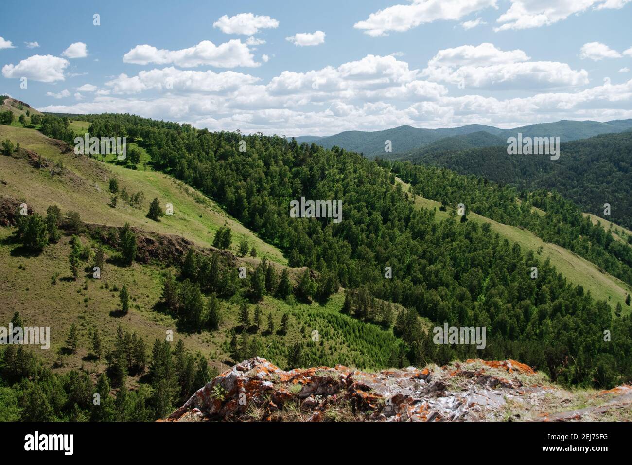 Aerial view of the summer taiga landscape Stock Photo - Alamy