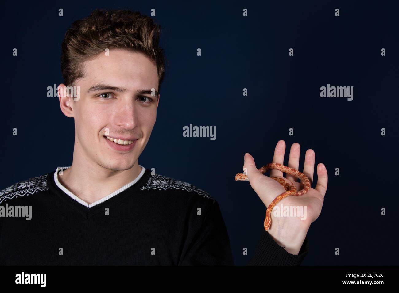 Handsome snake hi-res stock photography and images - Alamy