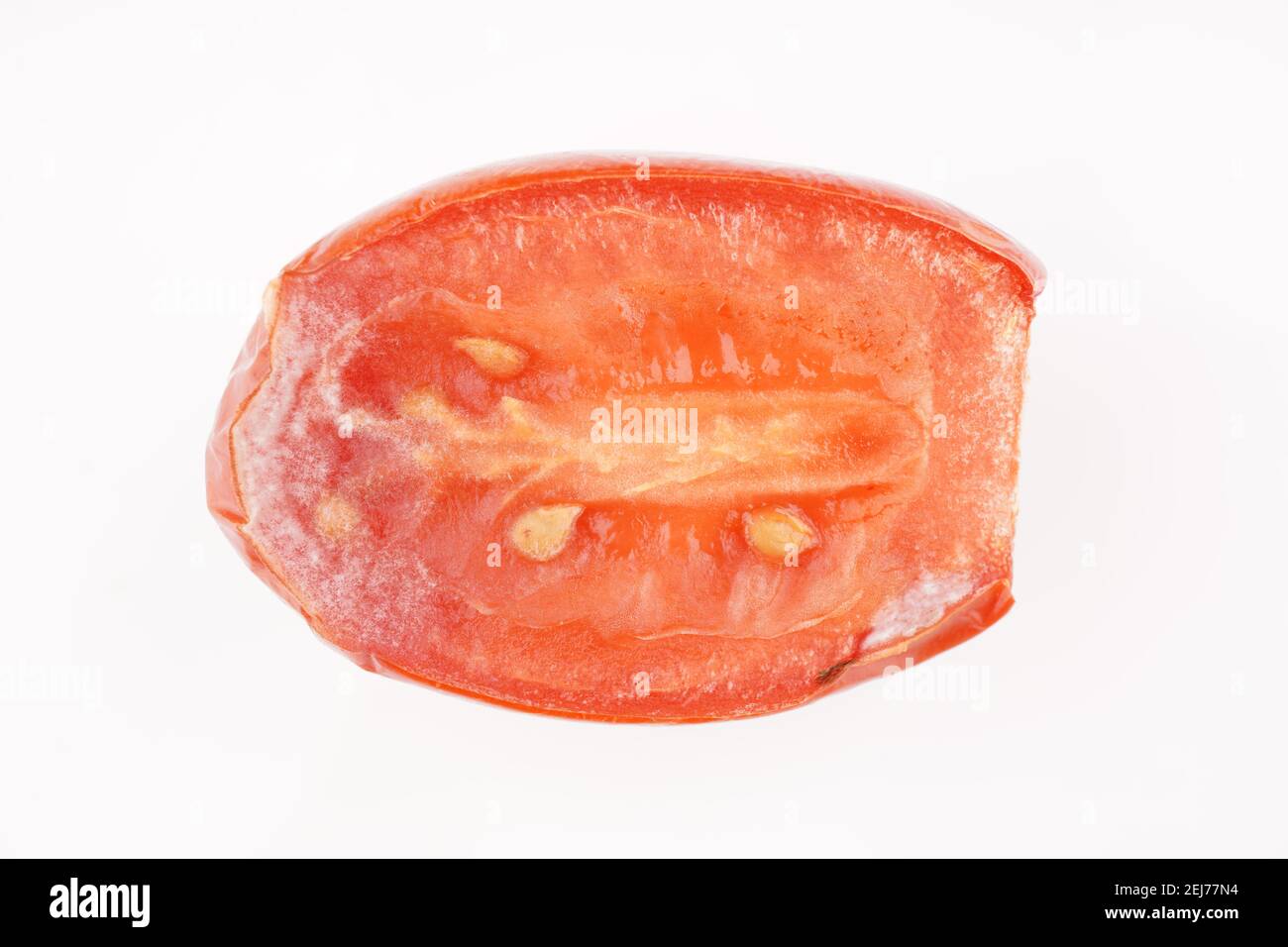 rotten tomato on white background Stock Photo - Alamy