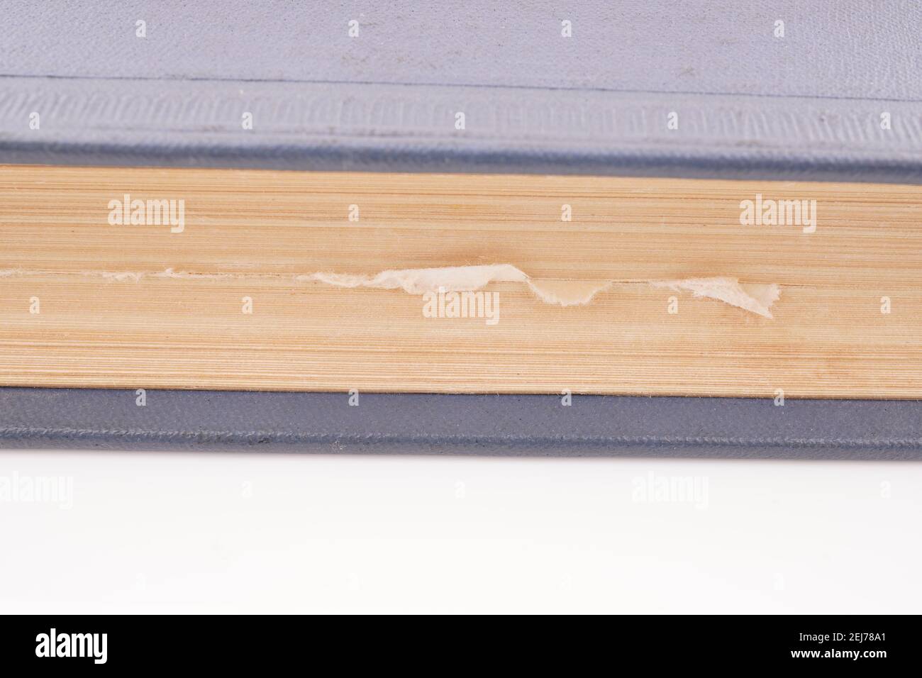 blue book on white background Stock Photo - Alamy