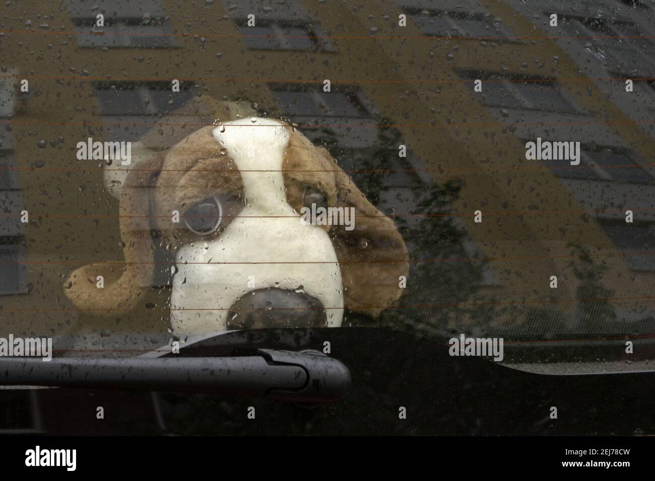 Toy dog with drooping ears sad about the owner in a rainy cloudy day ...