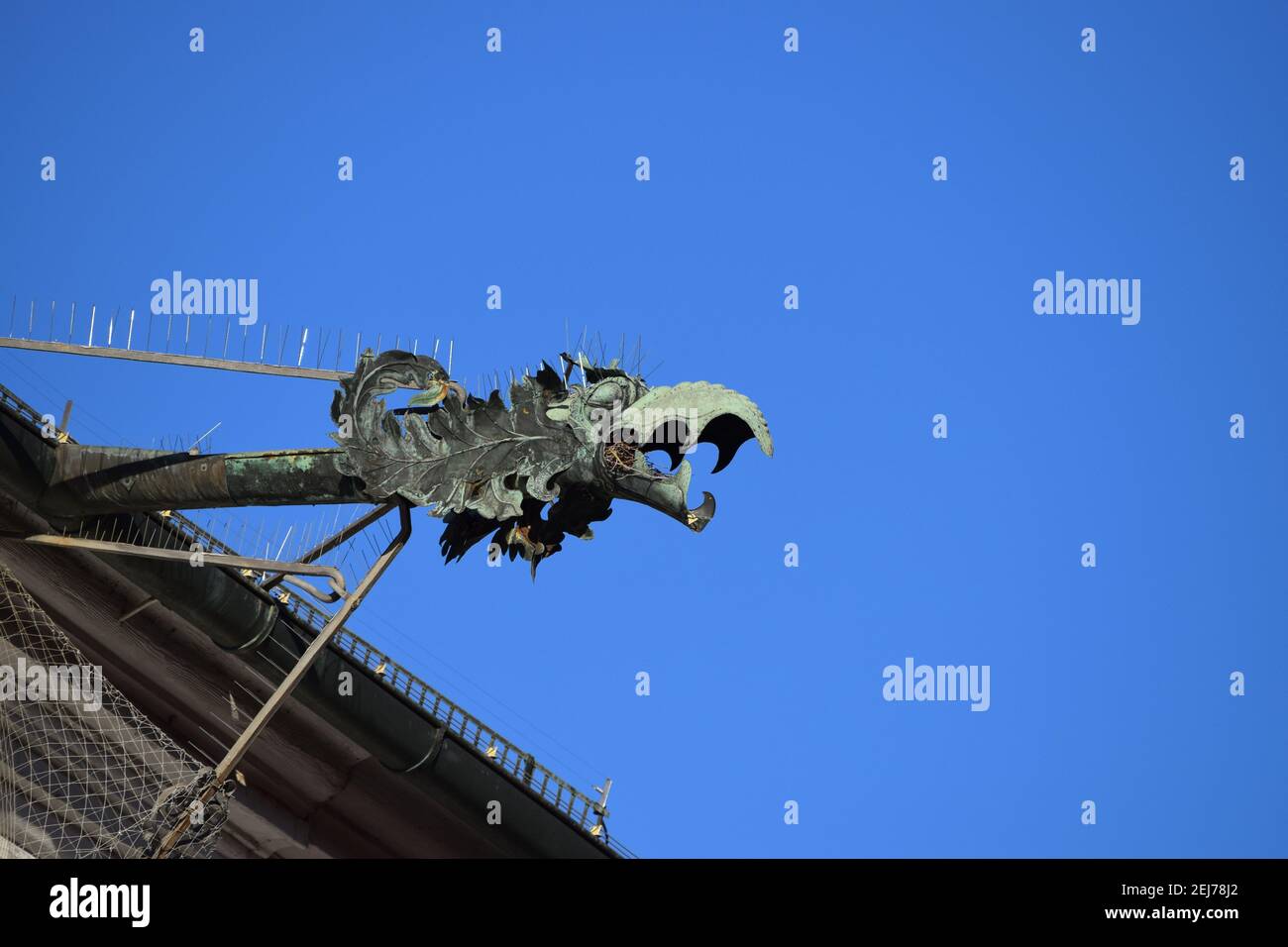 clogged Gutter drain in the shape of a Dragon Stock Photo - Alamy clogged Gutter drain in the shape of a Dragon Stock Photo - Alamy