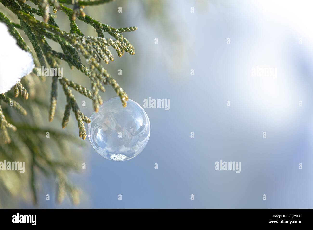 Soapbubbles hi-res stock photography and images - Alamy