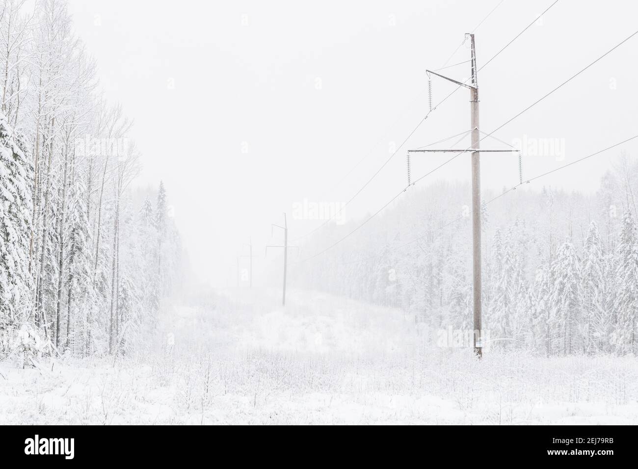 power line in the forest. Winter Stock Photo - Alamy