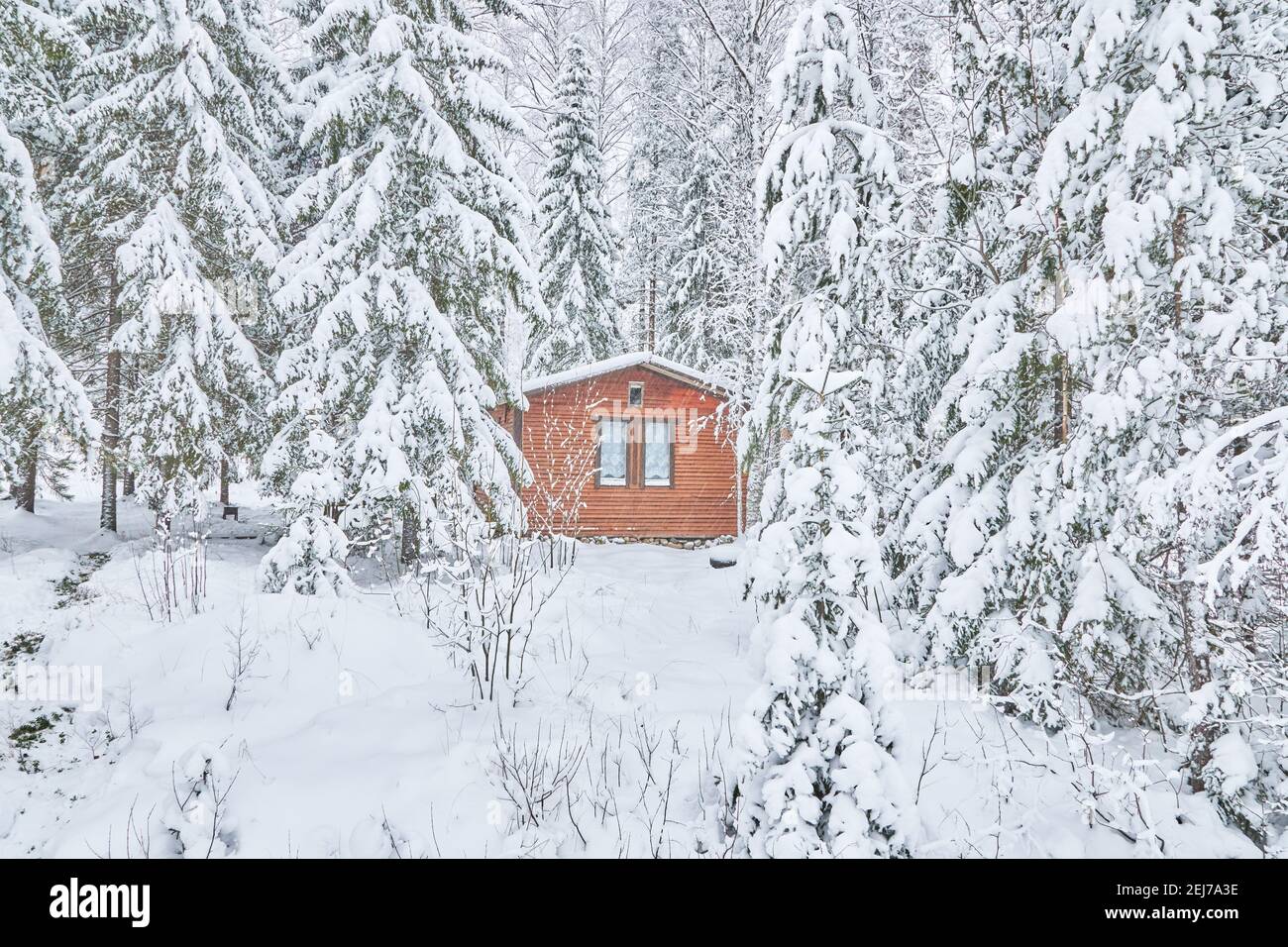 frame house in the forest in winter Stock Photo - Alamy