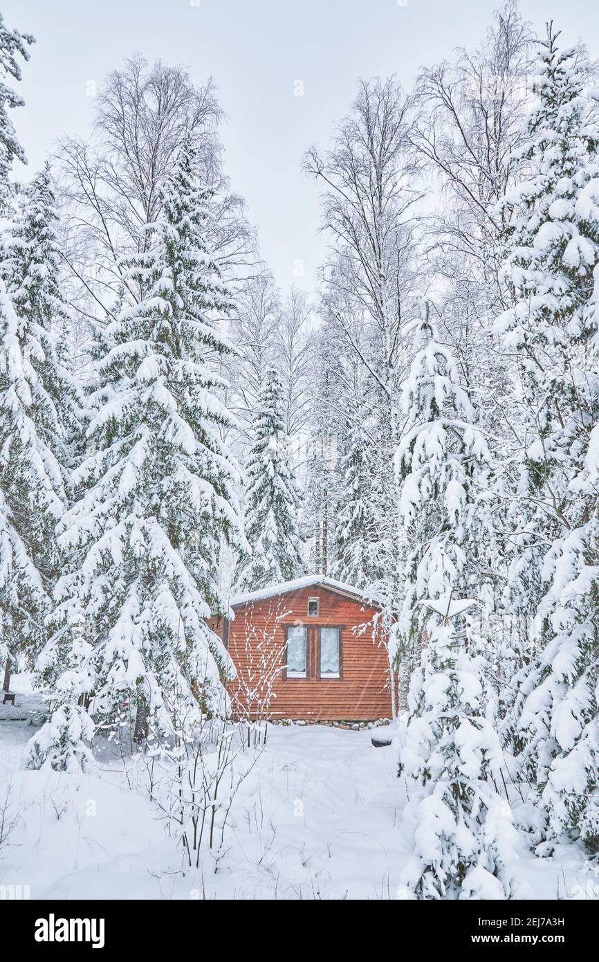 frame house in the forest in winter Stock Photo - Alamy
