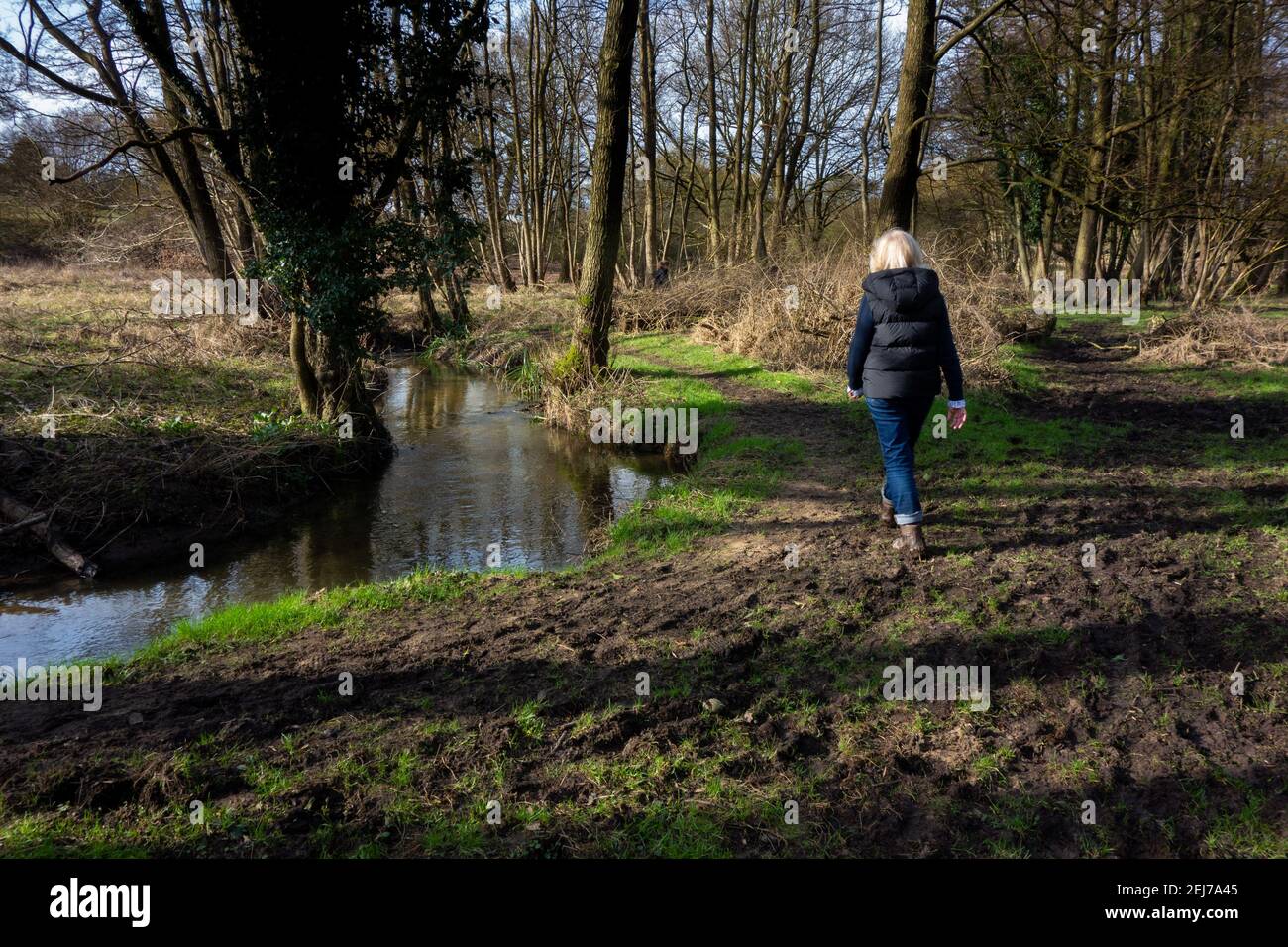 Flordon Common River Tas Stock Photo - Alamy